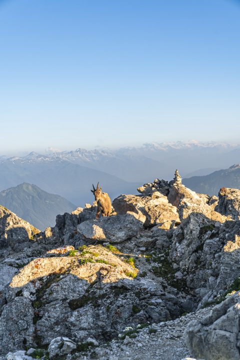 Les 5 Randonnées Incontournables à Annecy - Un Jour Une Rando